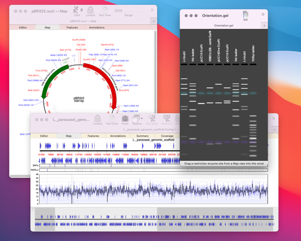 MacVector on Apple Silicon: benchmarks