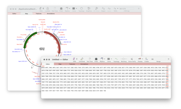 Setting the Numbering Origin